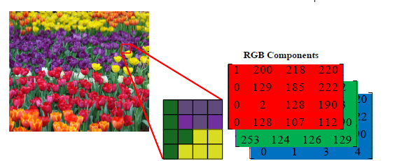 การเขียนโปรแกรมเบื้องต้น Arduino กับ Image Processing การลงโปรแกรม Python กับ Opencv ขาย