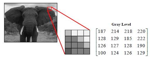 การเขียนโปรแกรมเบื้องต้น Arduino กับ Image Processing การลงโปรแกรม Python กับ Opencv ขาย
