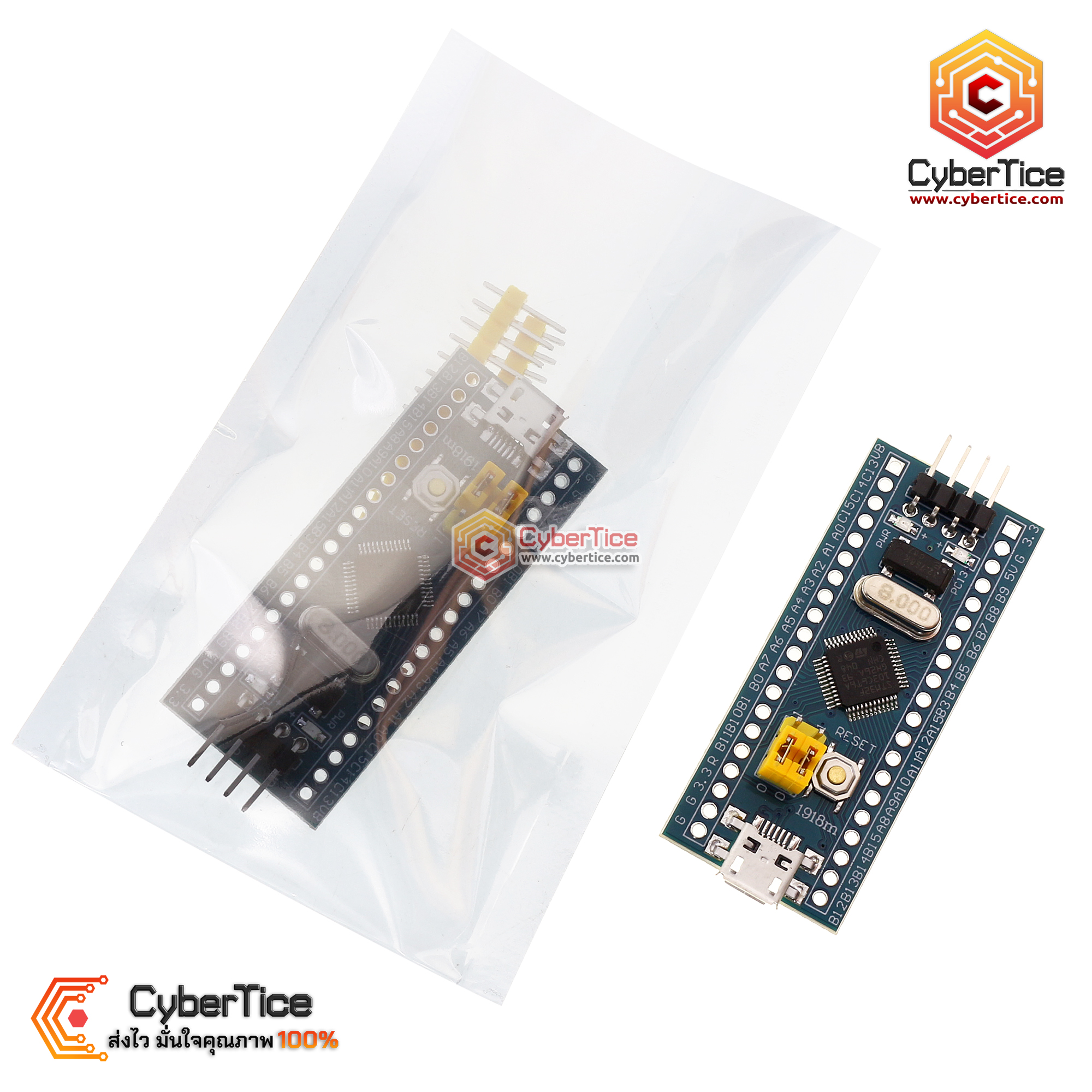 Stm32f103c6t6 Board Stm32 Arm V2 System Development Board Module For Arduino ขาย Arduino 8590