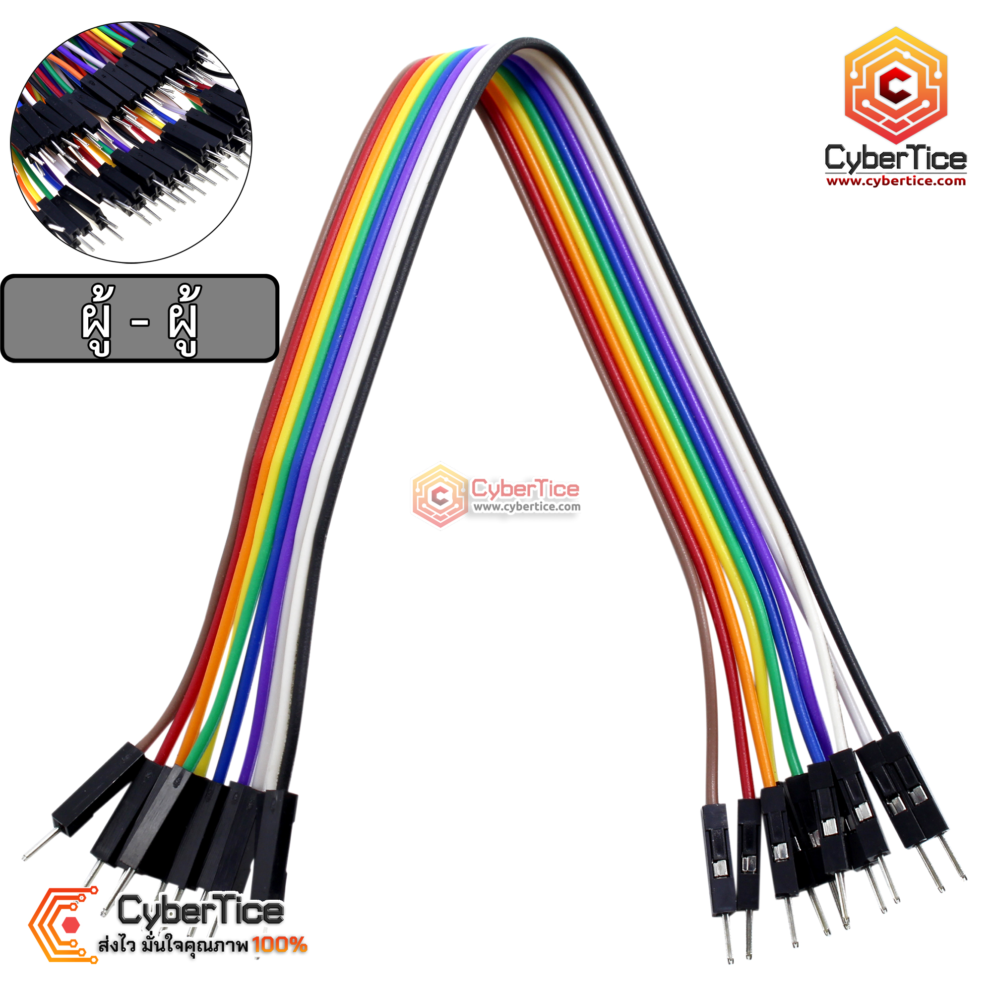 สายไฟ จัมเปอร์ Arduino ผู้ ผู้ ยาว 20cm จำนวน 10 เส้น Jumper Wire ขาย Arduino อุปกรณ์ Arduino