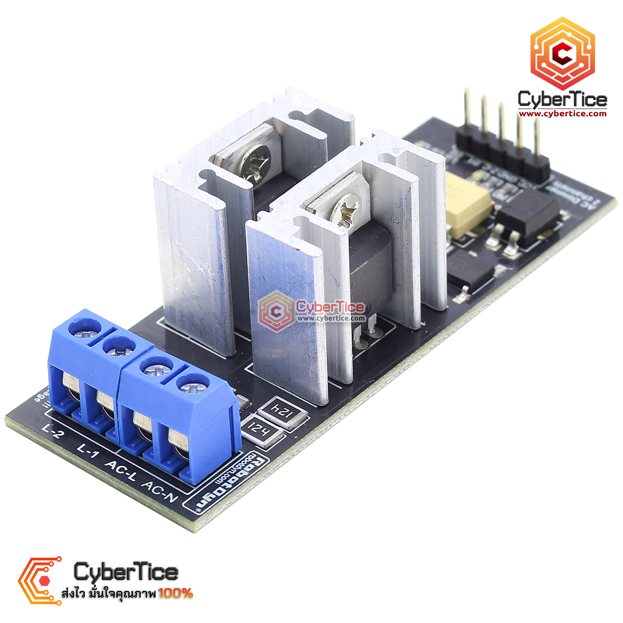 Dimmer Module PWM control 2 Channel โมดูลหรี่ไฟ Arduino 220VAC 10A ...
