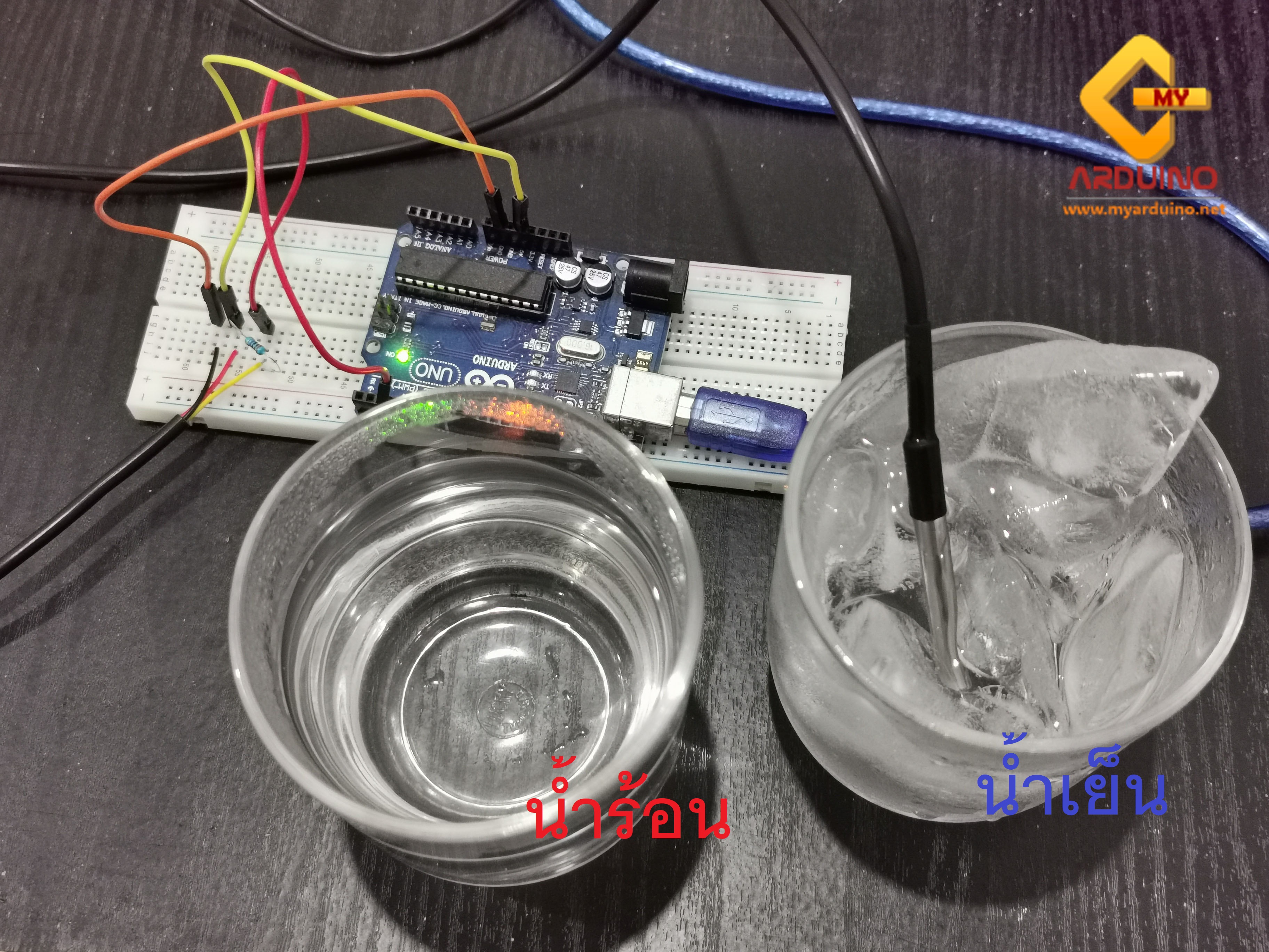 สอนใช้งาน Arduino วัดอุณหภูมิในน้ำด้วย Sensor Ds18b20 ขาย Arduino